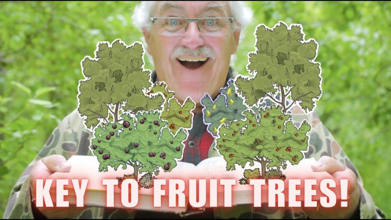 Les Fermes Miracle Farms – Permaculture Orchard