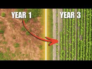 Les Fermes Miracle Farms – Permaculture Orchard