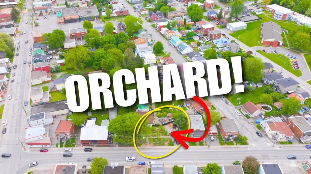 This man turned his FRONT YARD into a FOOD PARADISE! – Les Fermes ...
